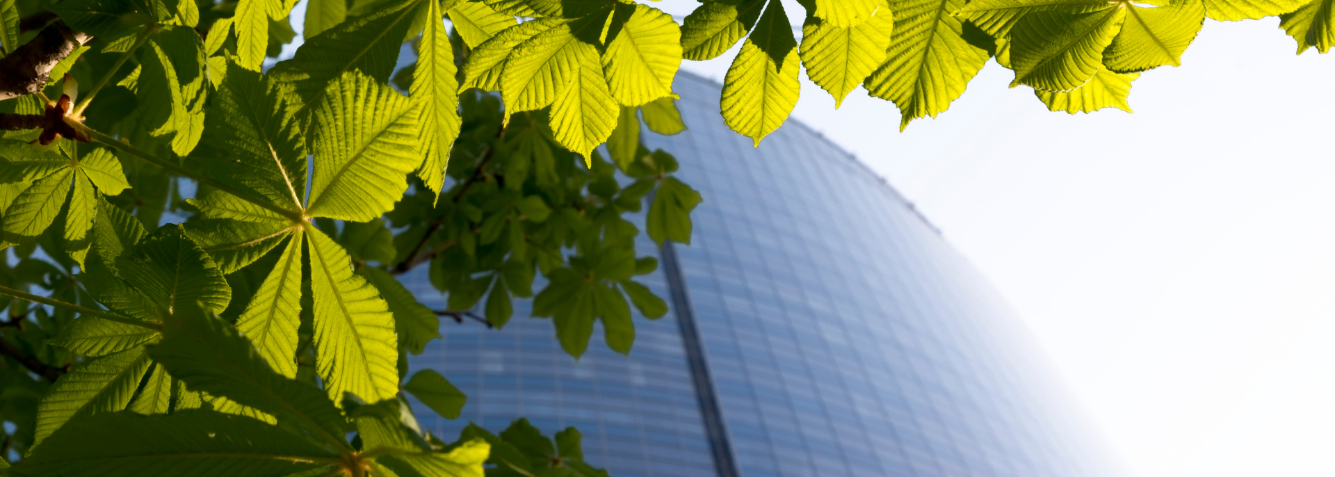 Join us - Mission Zero Academy